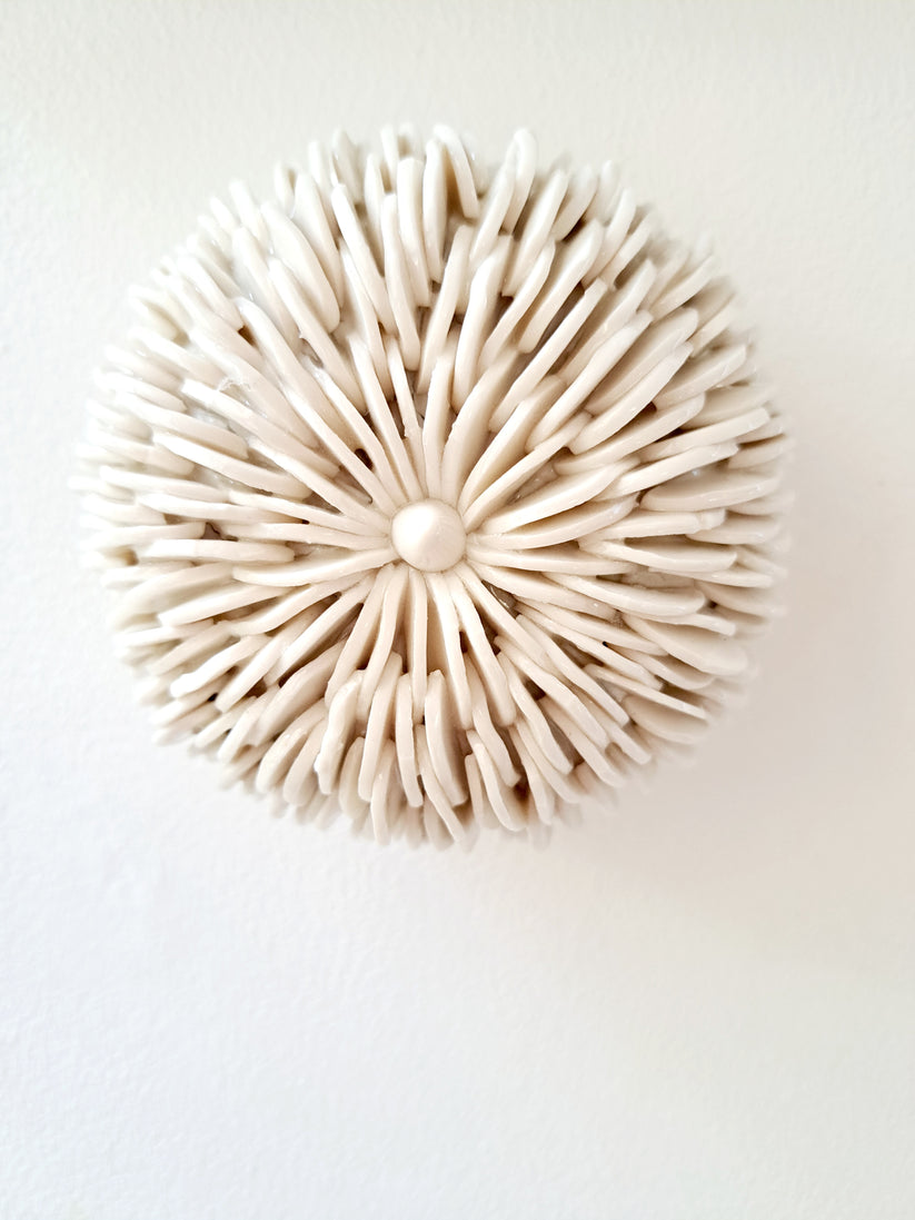 נועם- פסים לבן סוקולנט – Limor Peleg ceramics